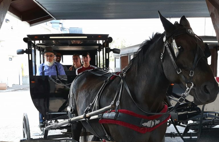 Things to Do in Amish Country, Indiana | Visit Shipshewana