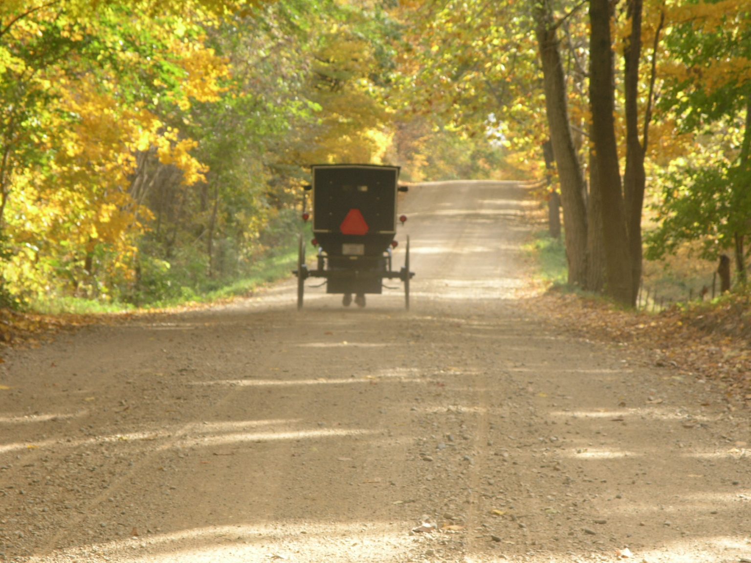 15 Best Things to Do in Shipshewana, Indiana | Visit Shipshewana